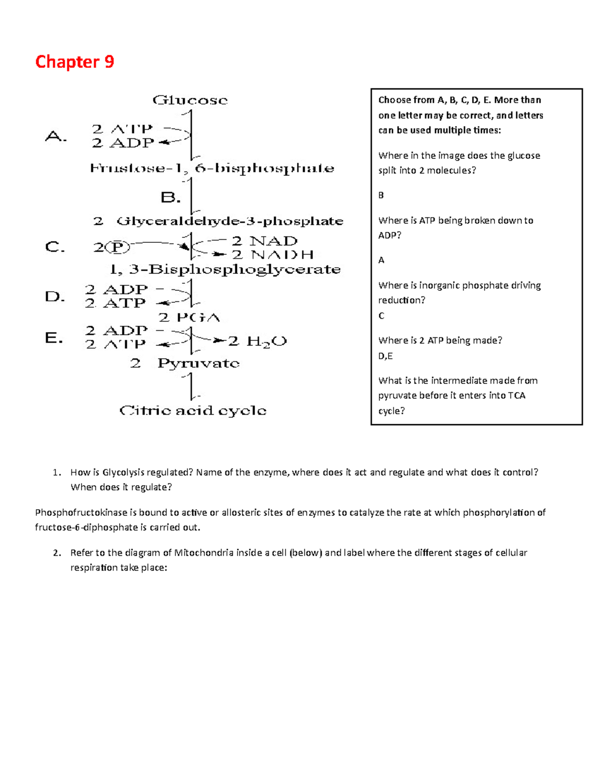 WEEK 6-HW-CH 9 worksheet - BIO-181 - GCU - Studocu