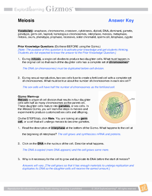 Meiosis Gizmo Key - vvvvvvvvvvvvv - Meiosis Answer Key Vocabulary ...