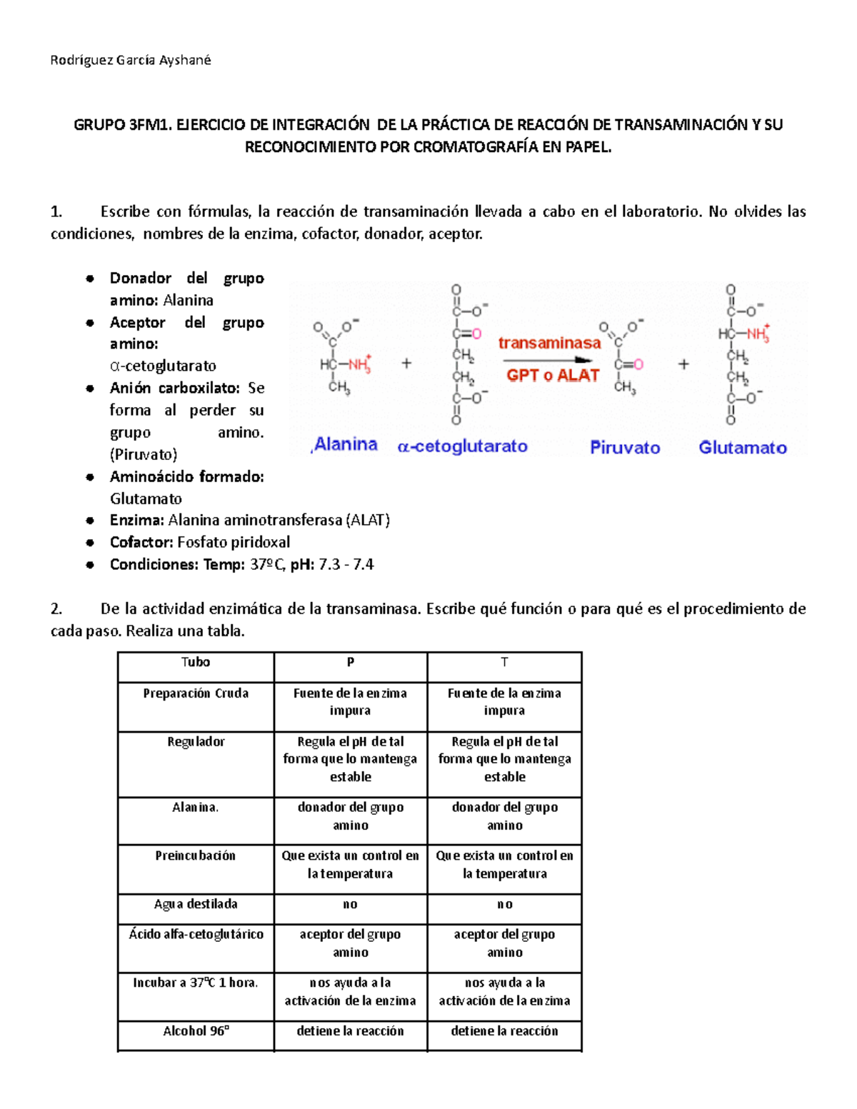 TransaminacióN RGA - Reacción catalizada por una aminotransferasa, en ...