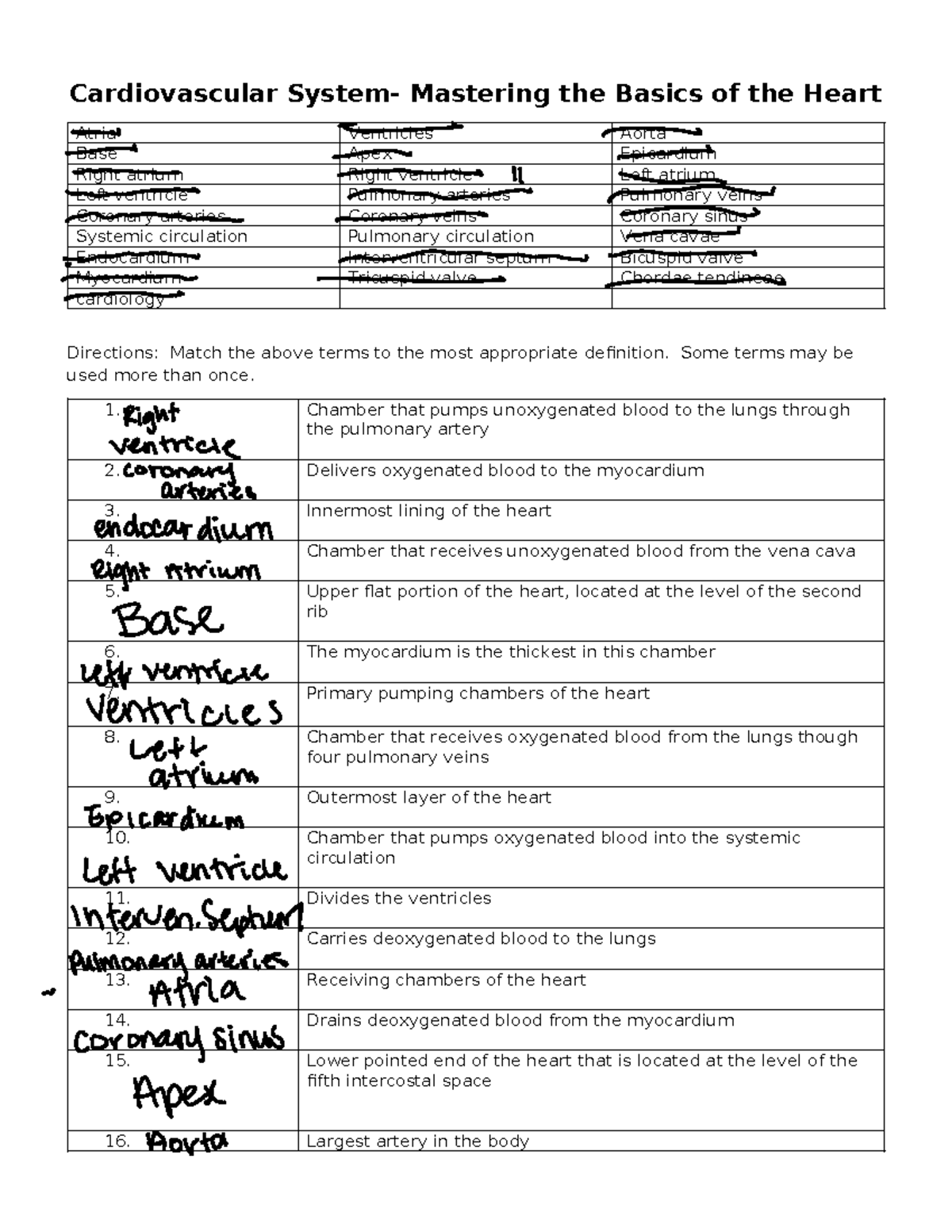 Heart Prep HW - Cardiovascular System- Mastering the Basics of the ...