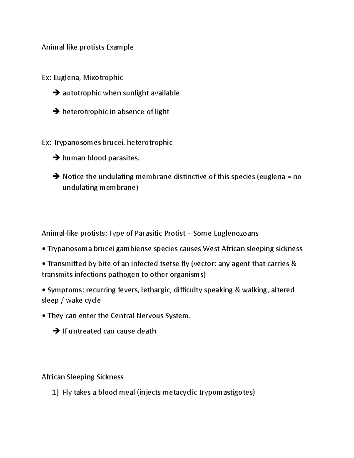 27 - Animal like protists Example - Animal like protists Example Ex ...