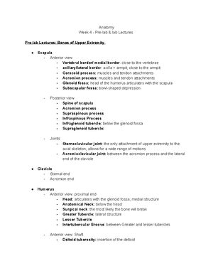 Anatomy Week 2 Pre-lab & lab Lectures - Anatomy Week 2 - Pre-lab & lab ...