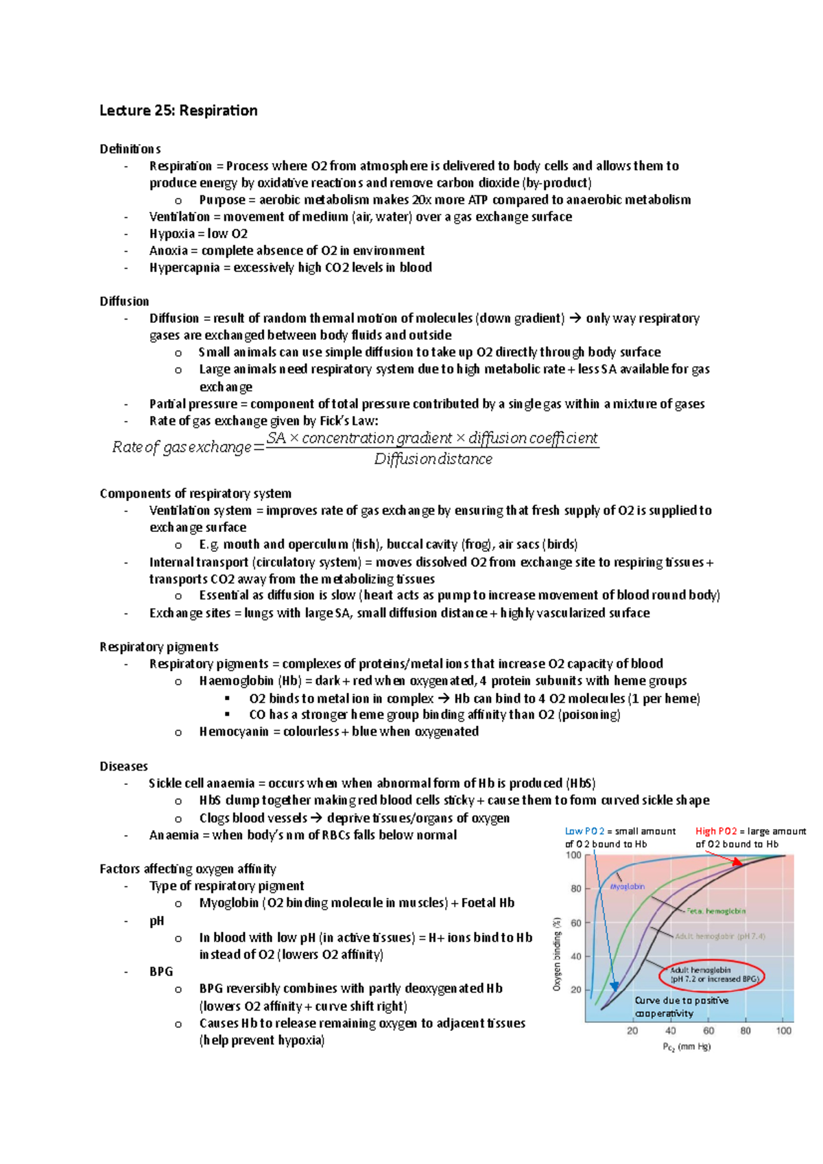 Respiration Lec25-26 Notes - Lecture 25: Respiration Definitions ...
