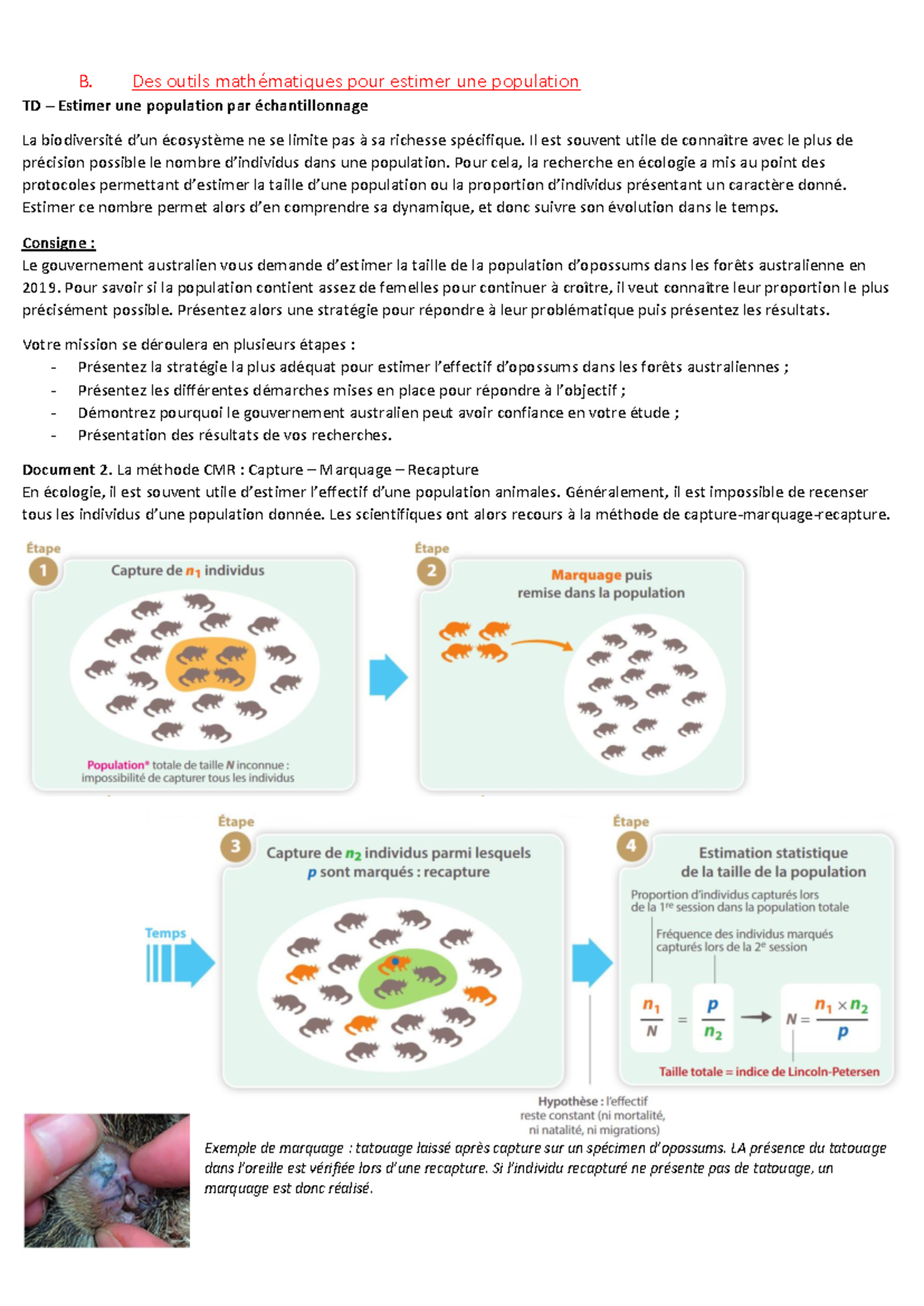 Fiche 2 - CMR - ,snjd - B. Des outils mathématiques pour estimer une ...