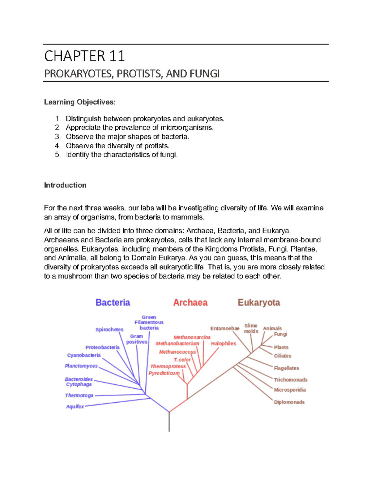 LM EX10 Survey OF Three Kingdoms - CHAPTER 11 PROKARYOTES, PROTISTS ...
