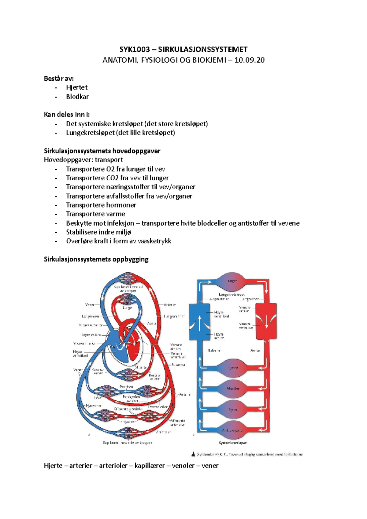 SYK1003 - Sirkulasjonssystemet - SYK1003 - Studocu
