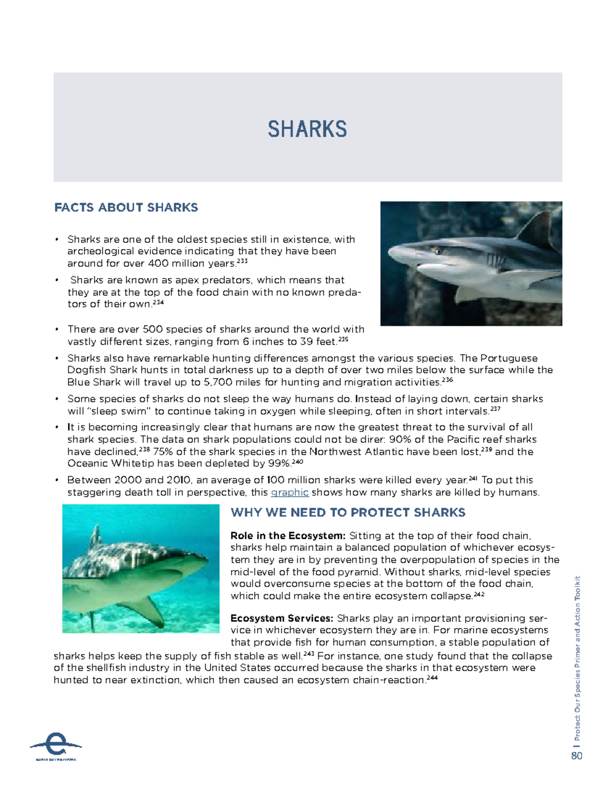 Sharks - EARTH DAY NETWORK ® 80 Protect Our Species Primer and Action ...