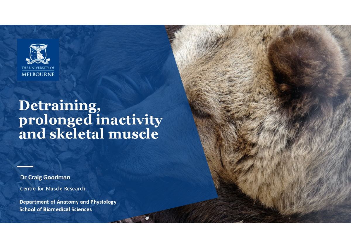 PHYS30012 Detraining Inactivity - Department of Anatomy and Physiology ...