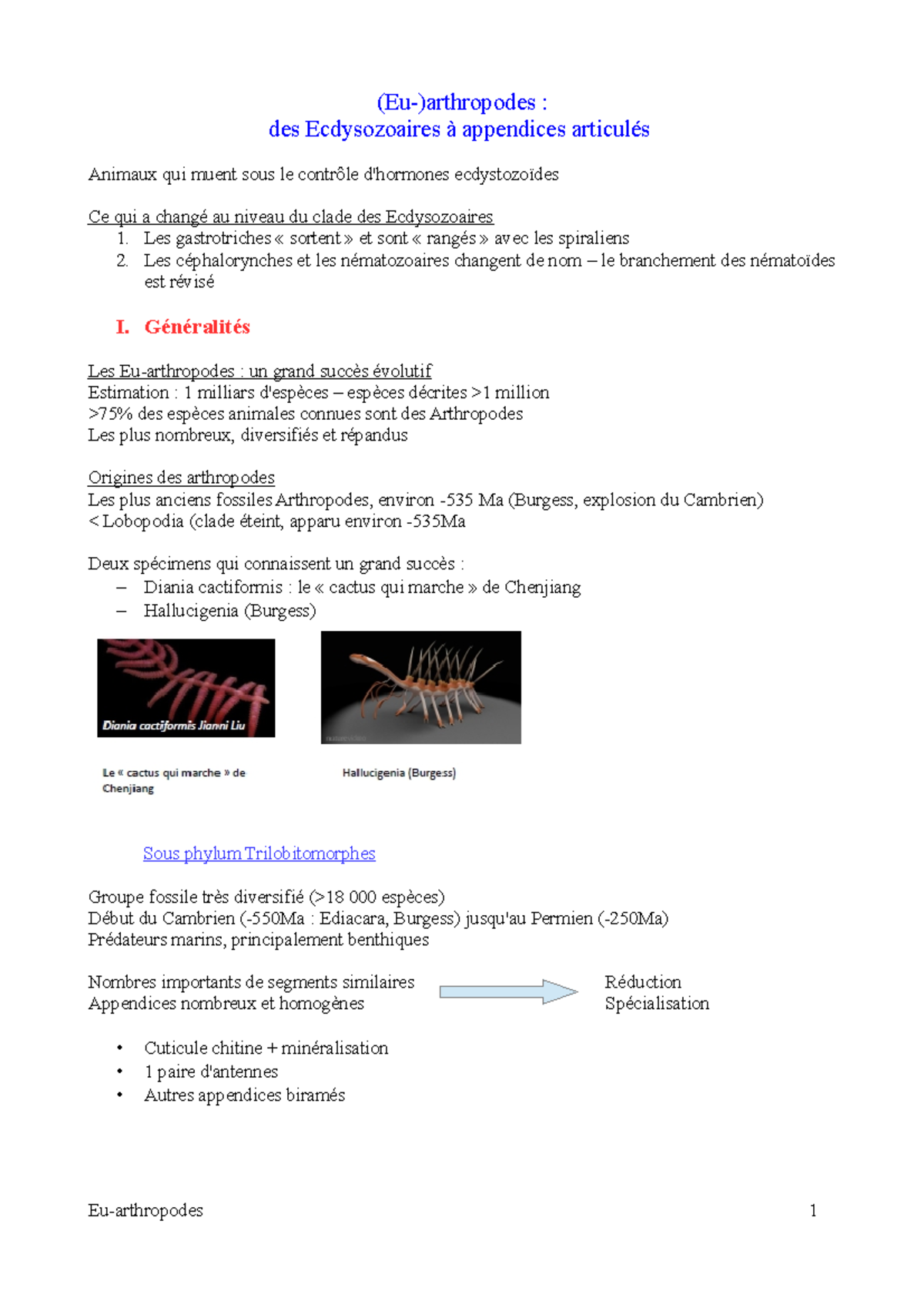 Euarthropodes - (Eu-)arthropodes : des Ecdysozoaires à appendices ...