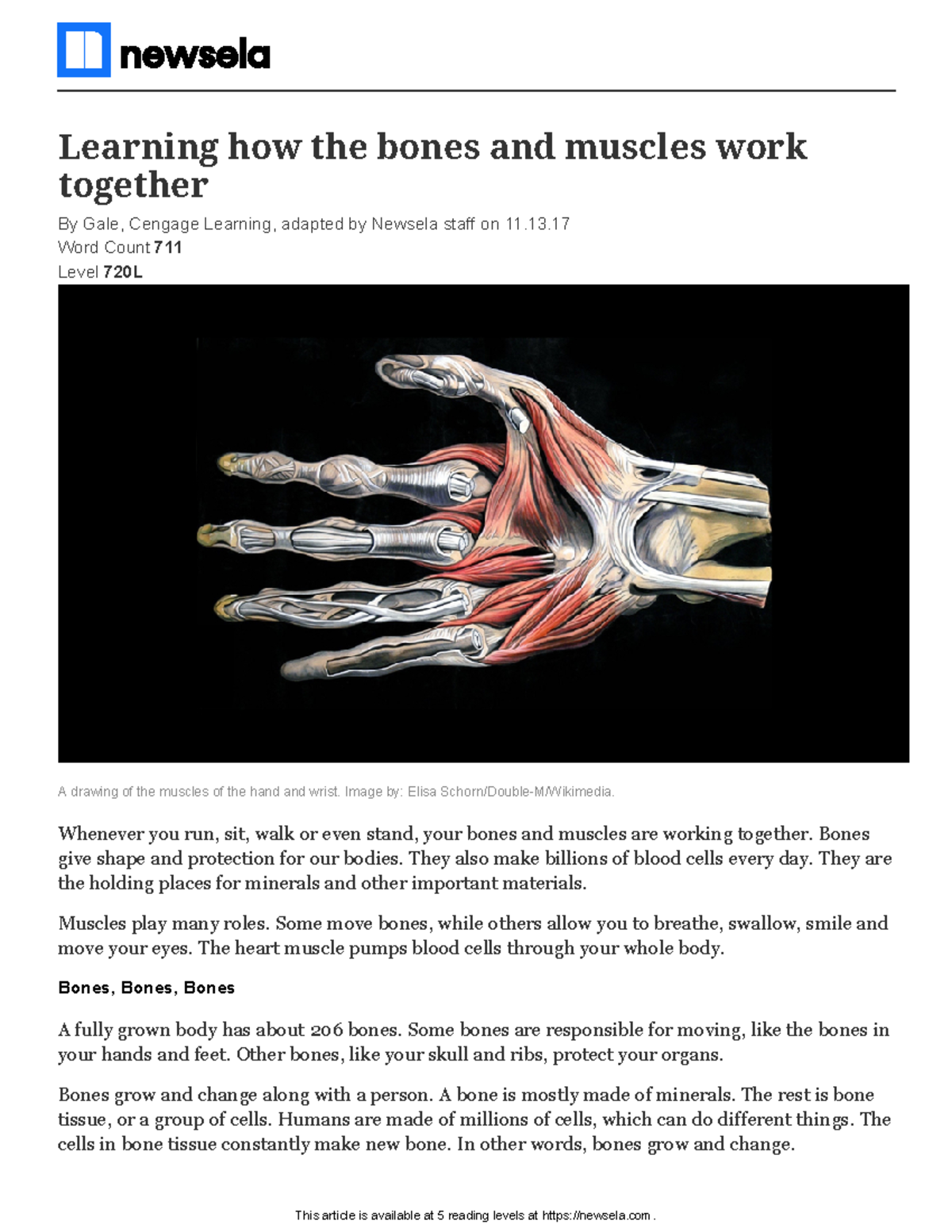 Learning How The Bones And Muscles Work Together This Article Is