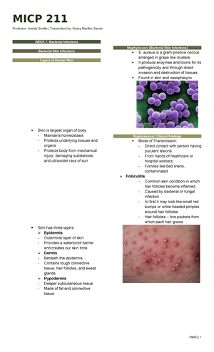 WEEK 3 Hydrocarbons and Its Derivatives Reviewer - WEEK 3: BASICS OF ORGANIC CHEMISTRY | - Studocu