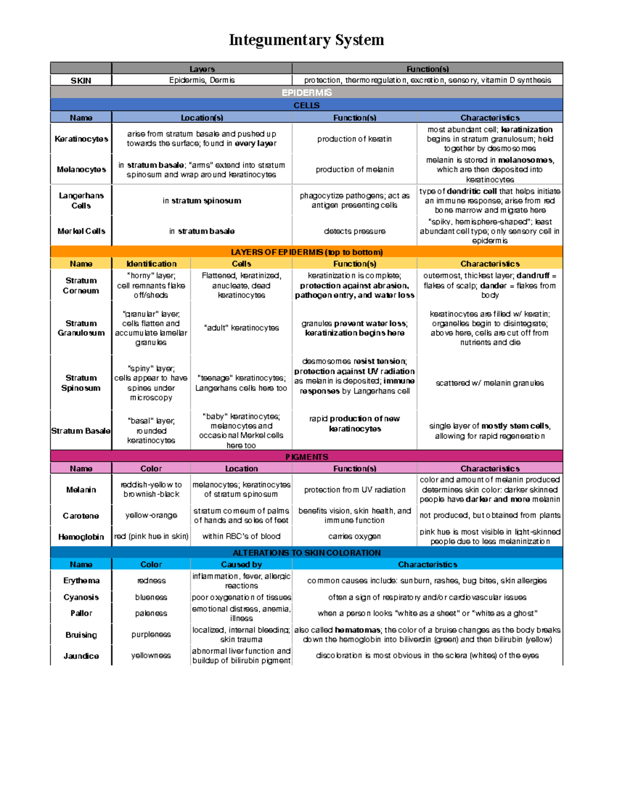 Integumentary Study Guide - Integumentary System Layers Function(s ...
