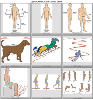 Strength and Endurance Score Sheet - Strength and Conditioning Muscular ...