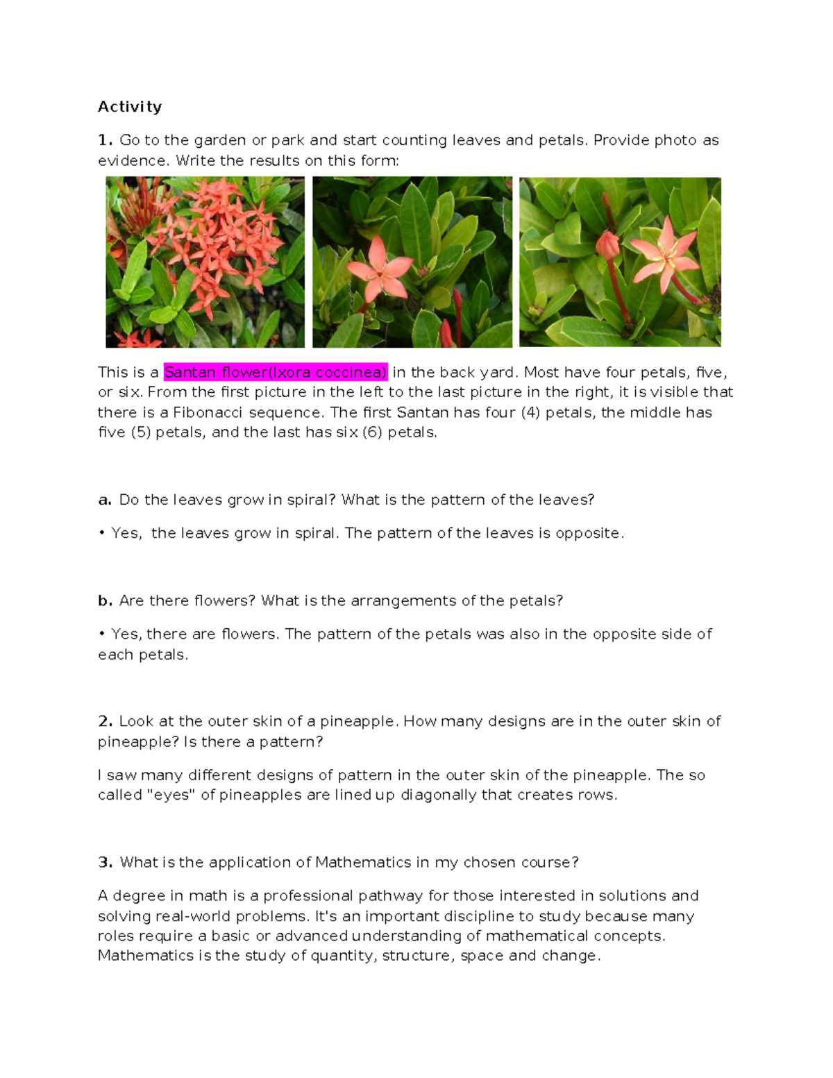 Activity - Activity Go to the garden or park and start counting leaves ...