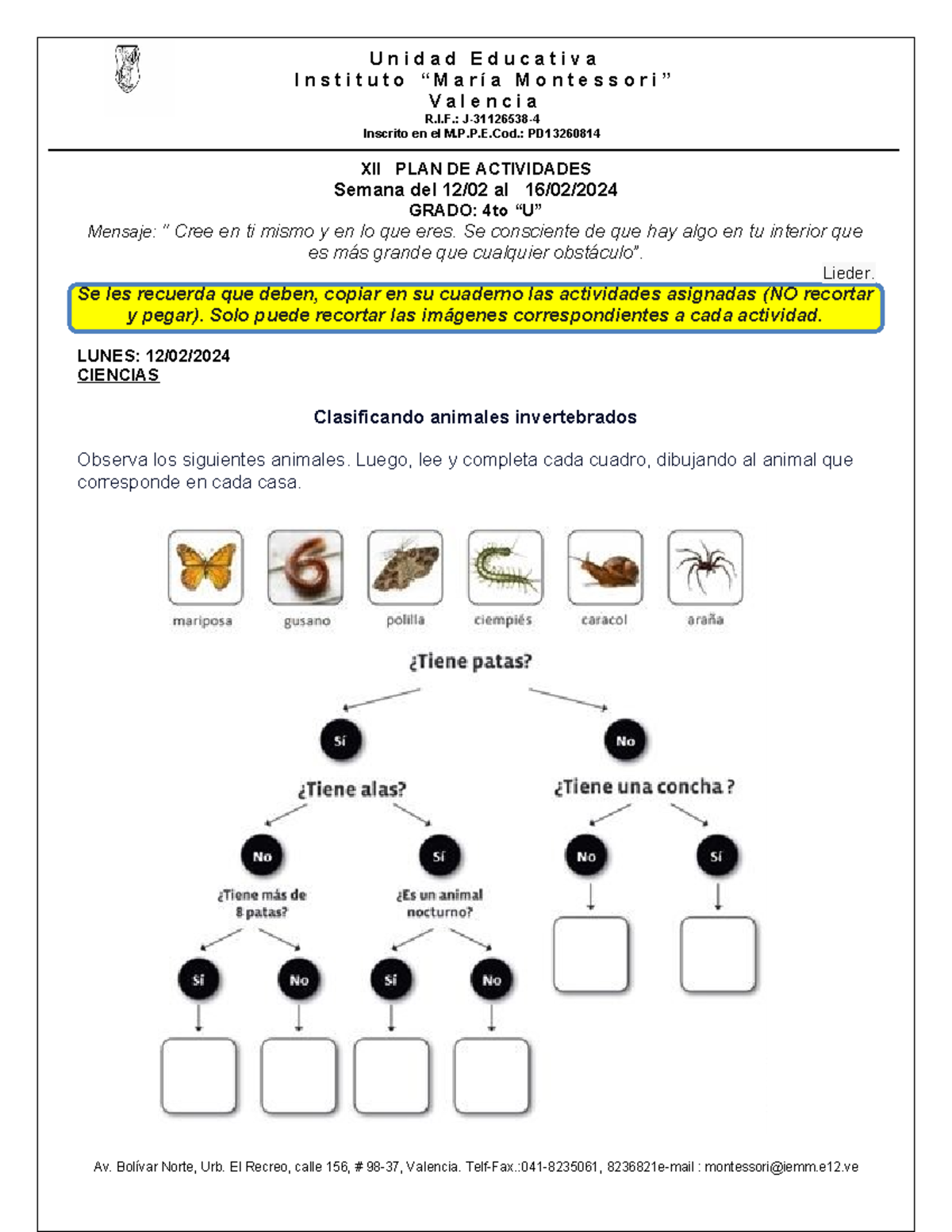 XI PLAN DE Actividades 4to grado 12 al 16-02-24 - XII PLAN DE ...