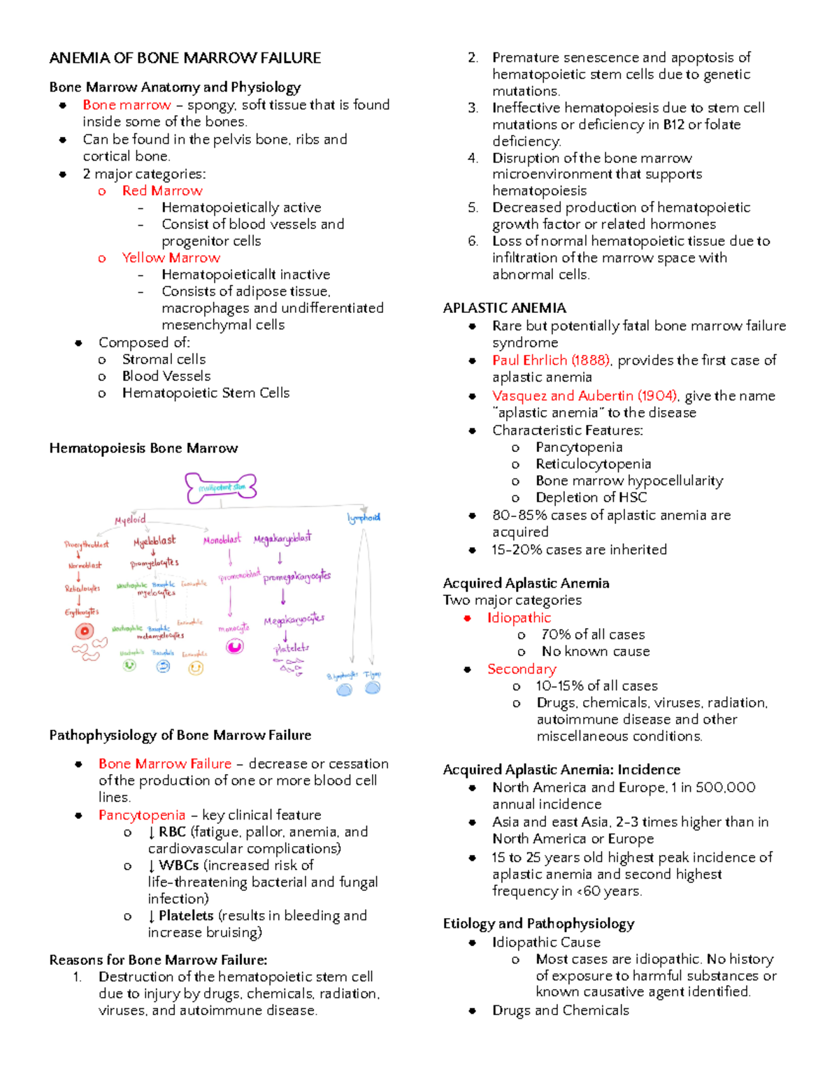 Anemia of bone marrow notes - ANEMIA OF BONE MARROW FAILURE Bone Marrow ...