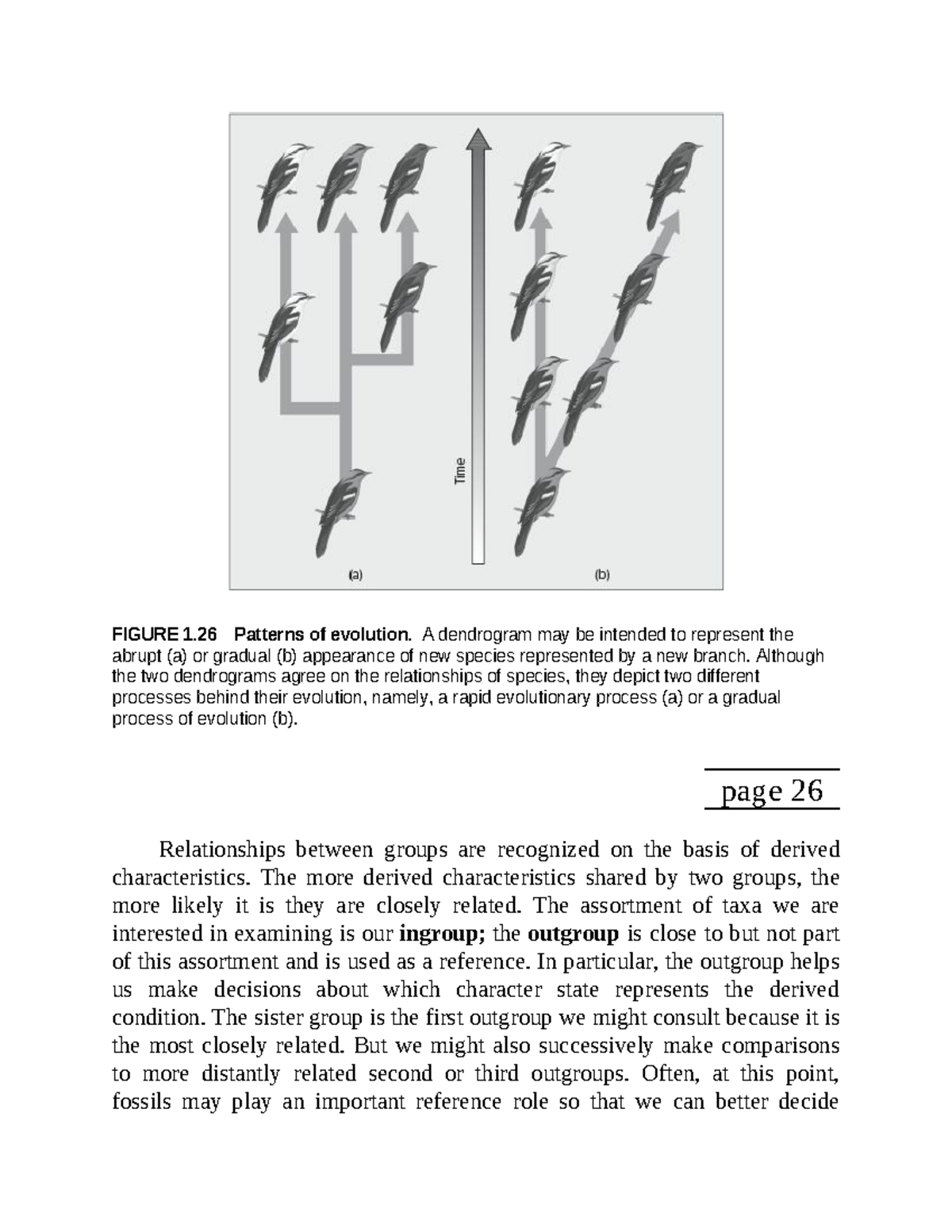 Chapter 4 Biological Design - page 26 FIGURE 1 Patterns of evolution. A ...