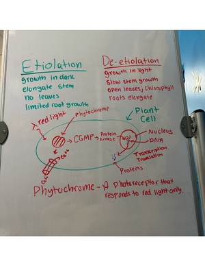 BIO 109 Unit 3 Vocabulary and Study Questions - BIO 109 Study questions ...