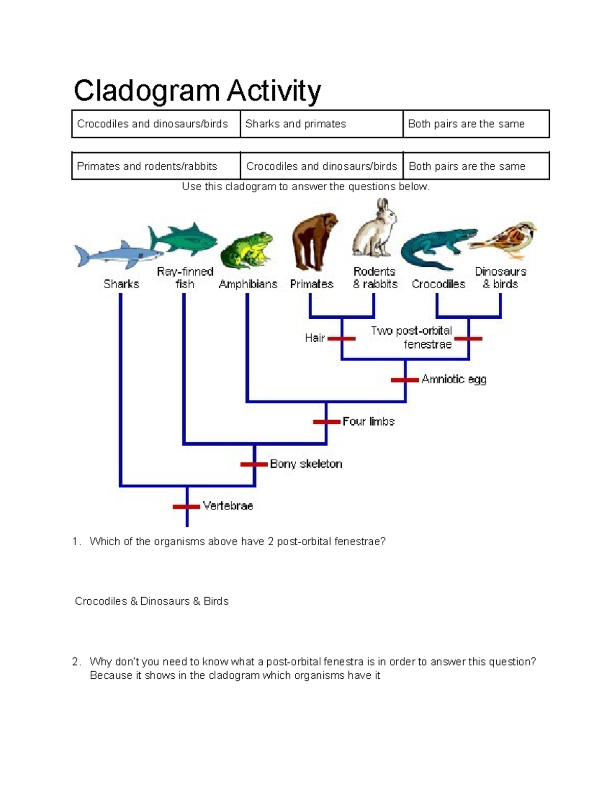 C190.v3 module 21 cladogram activity - Cladogram Activity Crocodiles ...