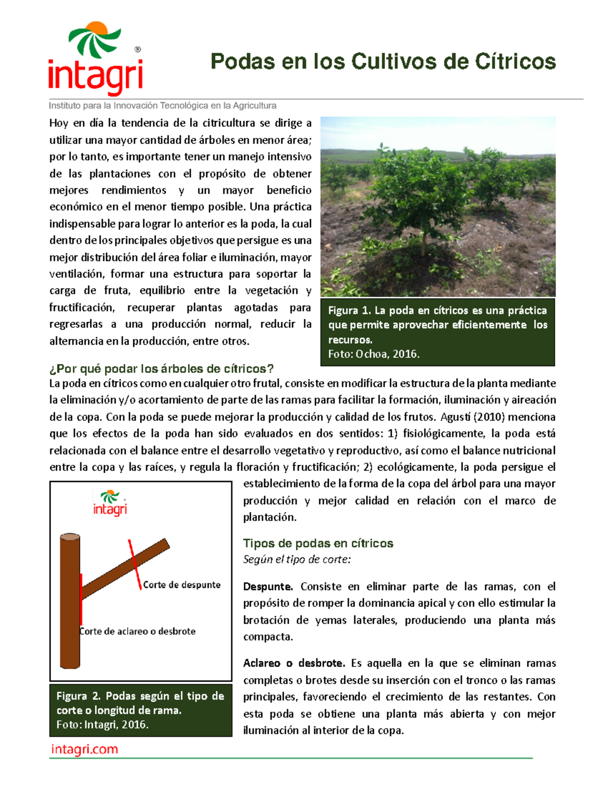 16. Podas en los Cultivos de Citricos - Podas en los Cultivos de ...