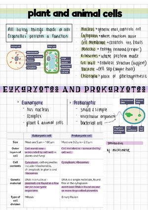 Biology - Year 1 - GCSE - Studocu