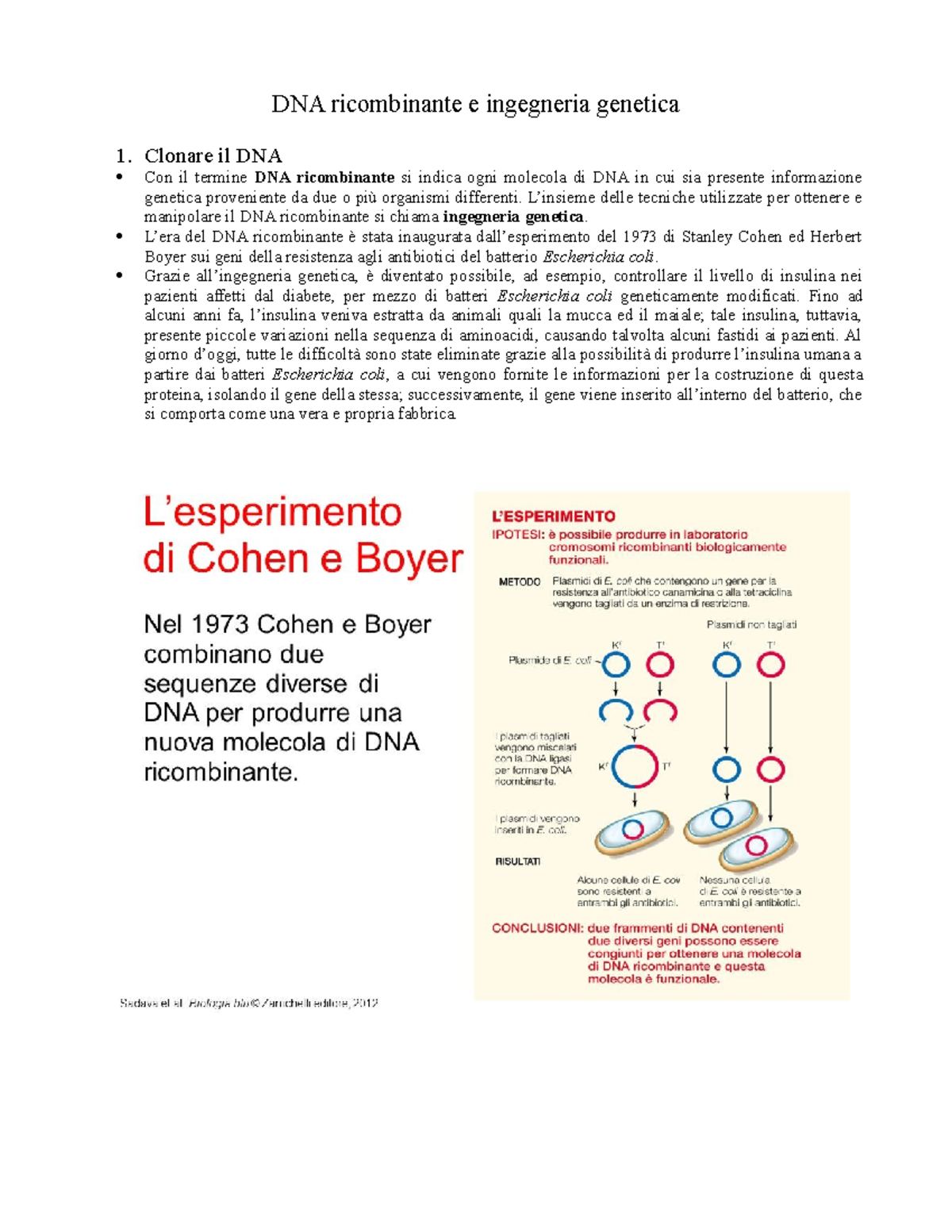 DNA ricombinante e ingegneria genetica - Clonare il DNA Con il termine ...