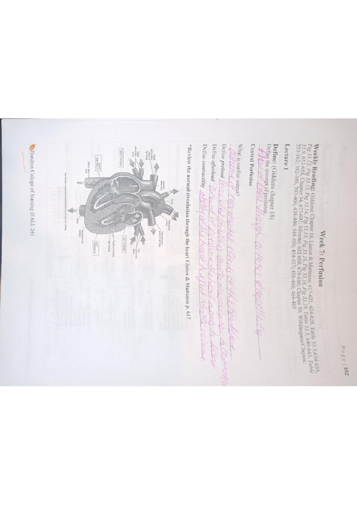 PDF Scanner 181124 1 - pre class assignment - Page 102 Week 7 ...