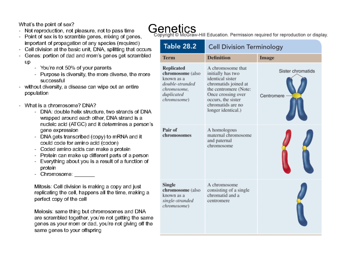 Lecture 13 reproduction - Genetics What’s the point of sex? Not ...