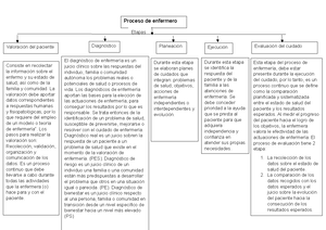 Ejemplo PAE - Plan a paciente con her tío da de arma blanca - PROCESO ...