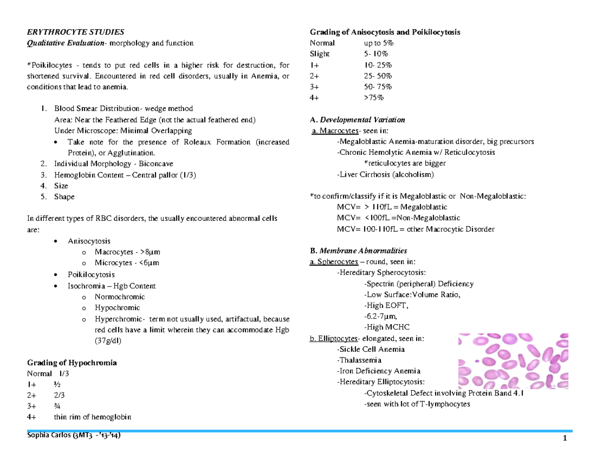 Erythrocyte Disorders(Complete) - ERYTHROCYTE STUDIES Qualitative ...