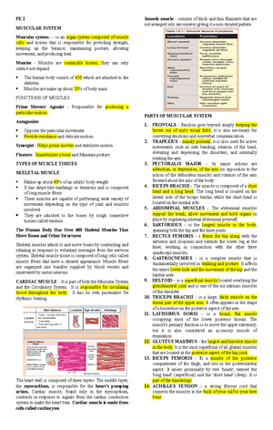 Pathfit 1 - hg ghjik dfegui hg ghjik dfegui - PATHFIT 1 P - HYSICAL A ...