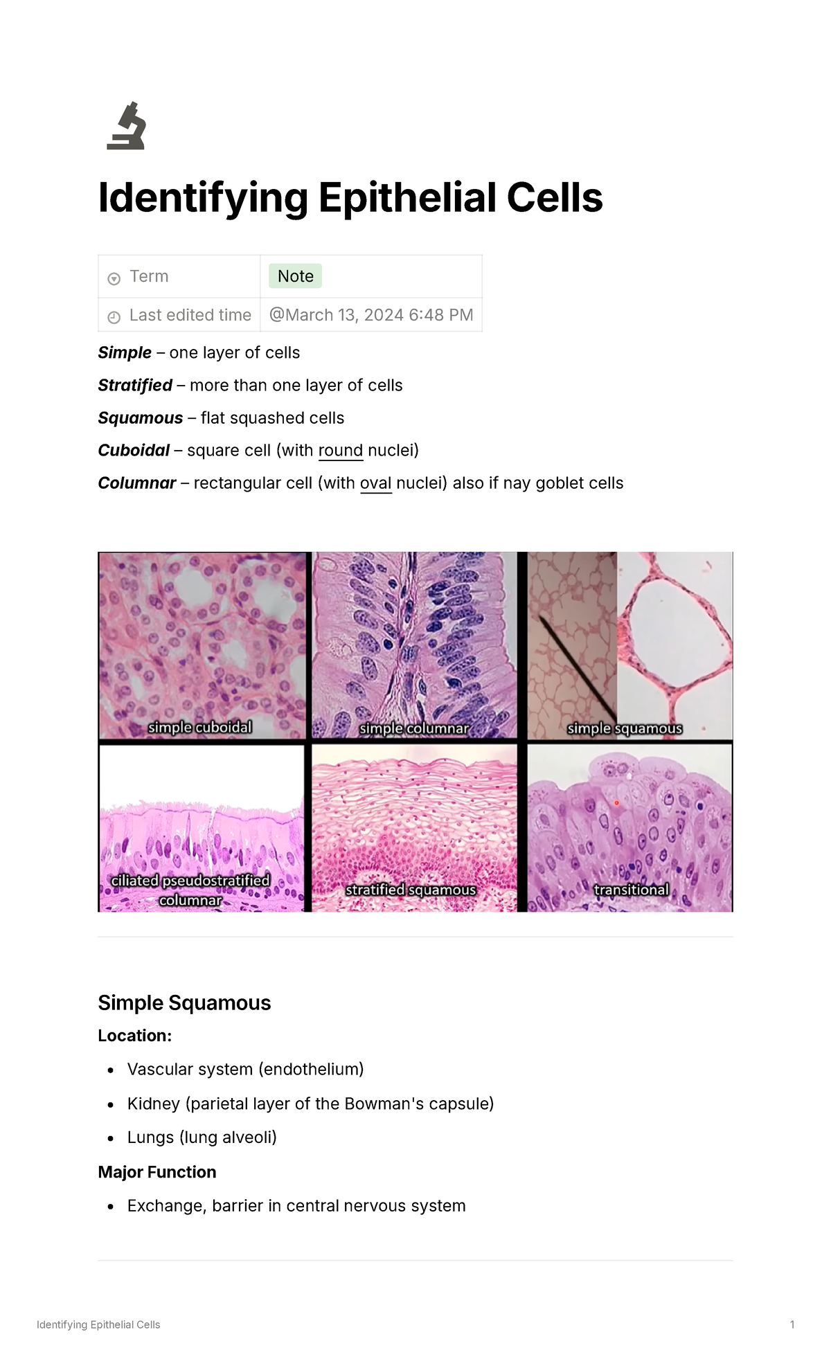 Identifying Epithelial Cells 35cebfc 9e5d6493283 b43dcb5795749 b ...