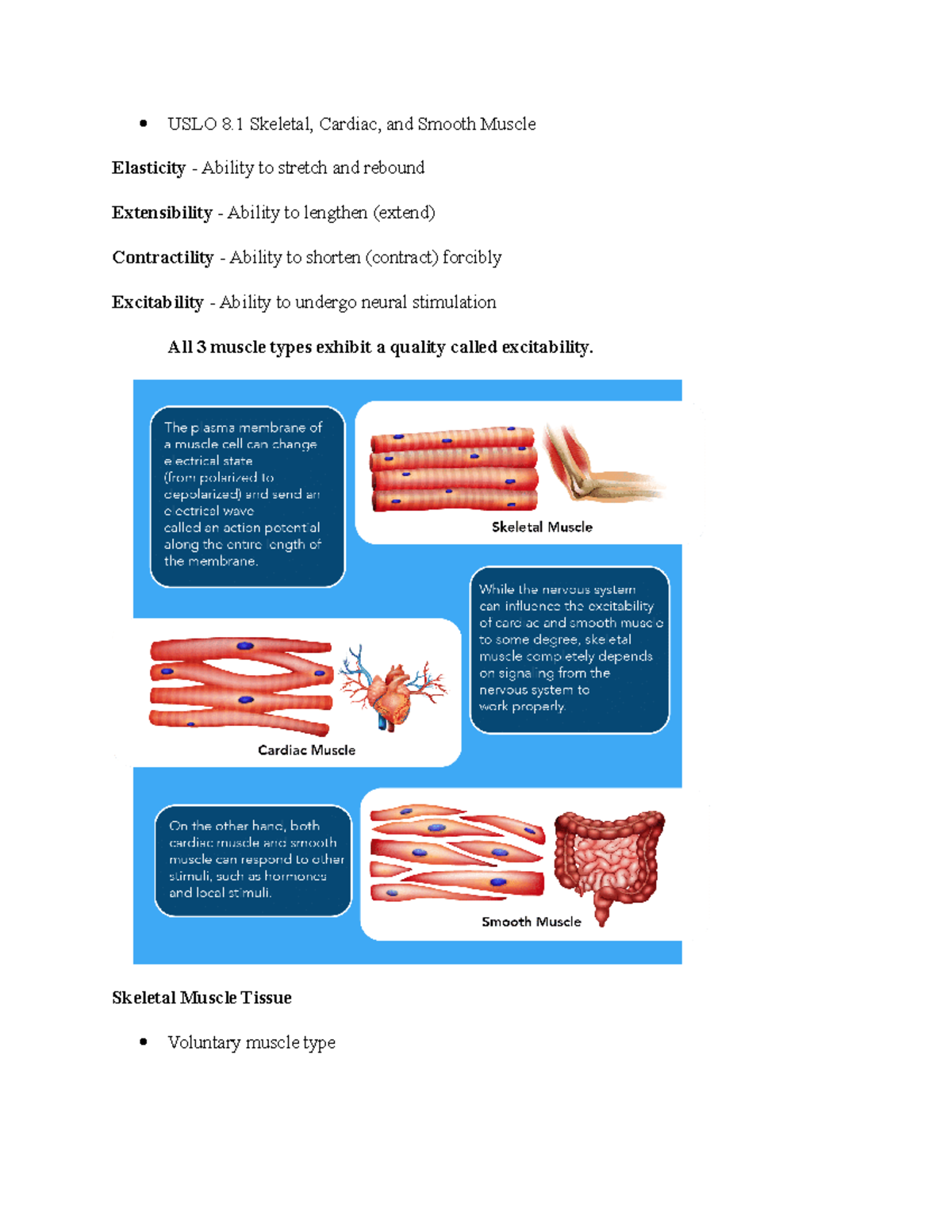 Week 8 Notes - USLO 8 Skeletal, Cardiac, and Smooth Muscle Elasticity ...