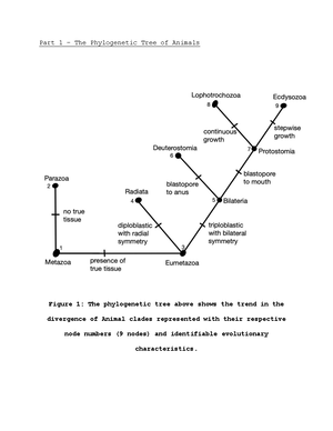 BIOL 1030 Term Test 2 Learning Outcomes - BIOL 1030 - U of M - Studocu