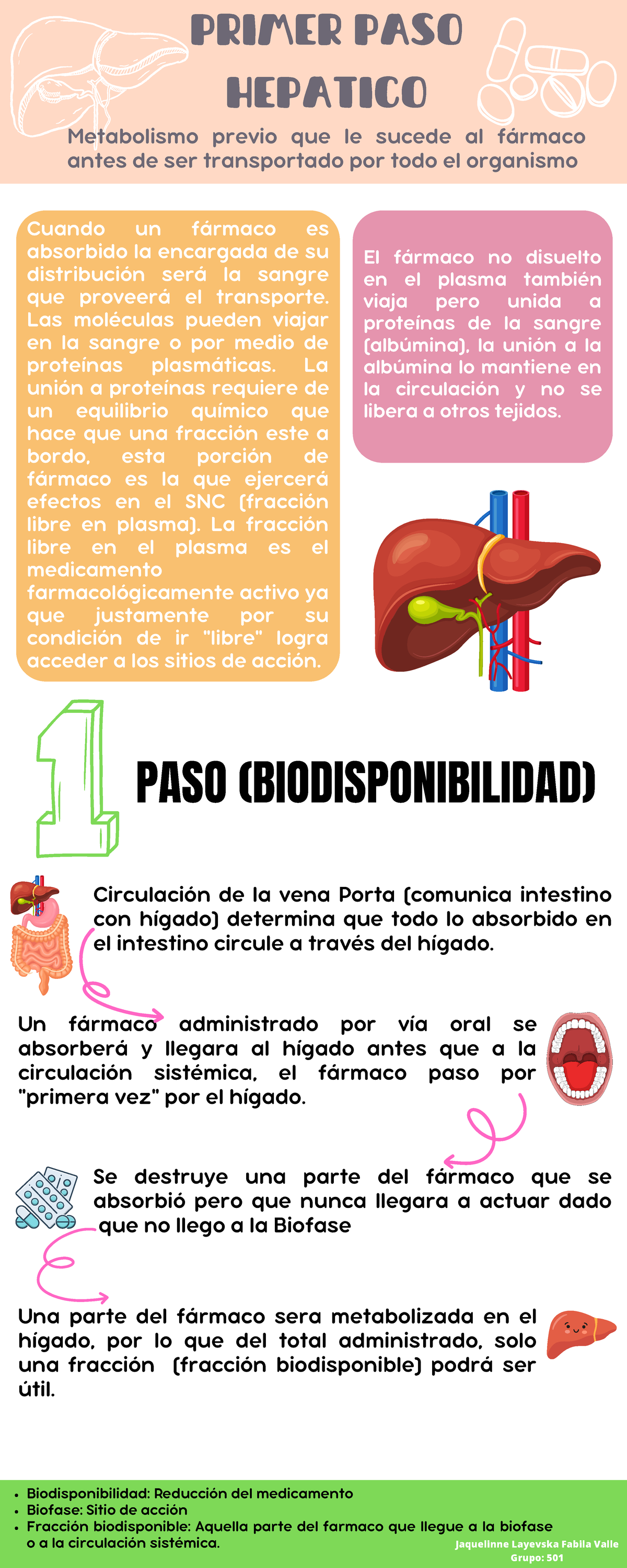 Infografia Primer Paso Hepatico - Circulación de la vena Porta ...