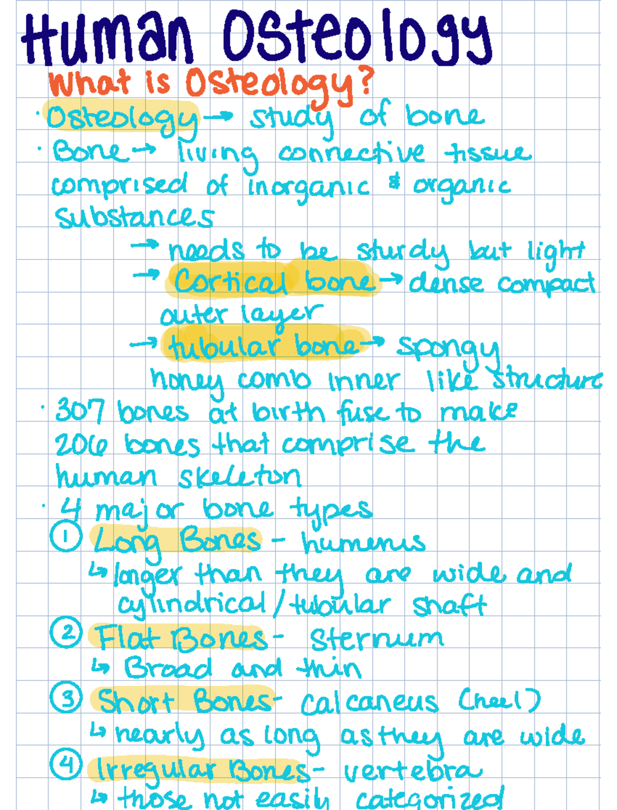 Module Two - Instructor: Steven Rhue Comprehensive notes on the second ...