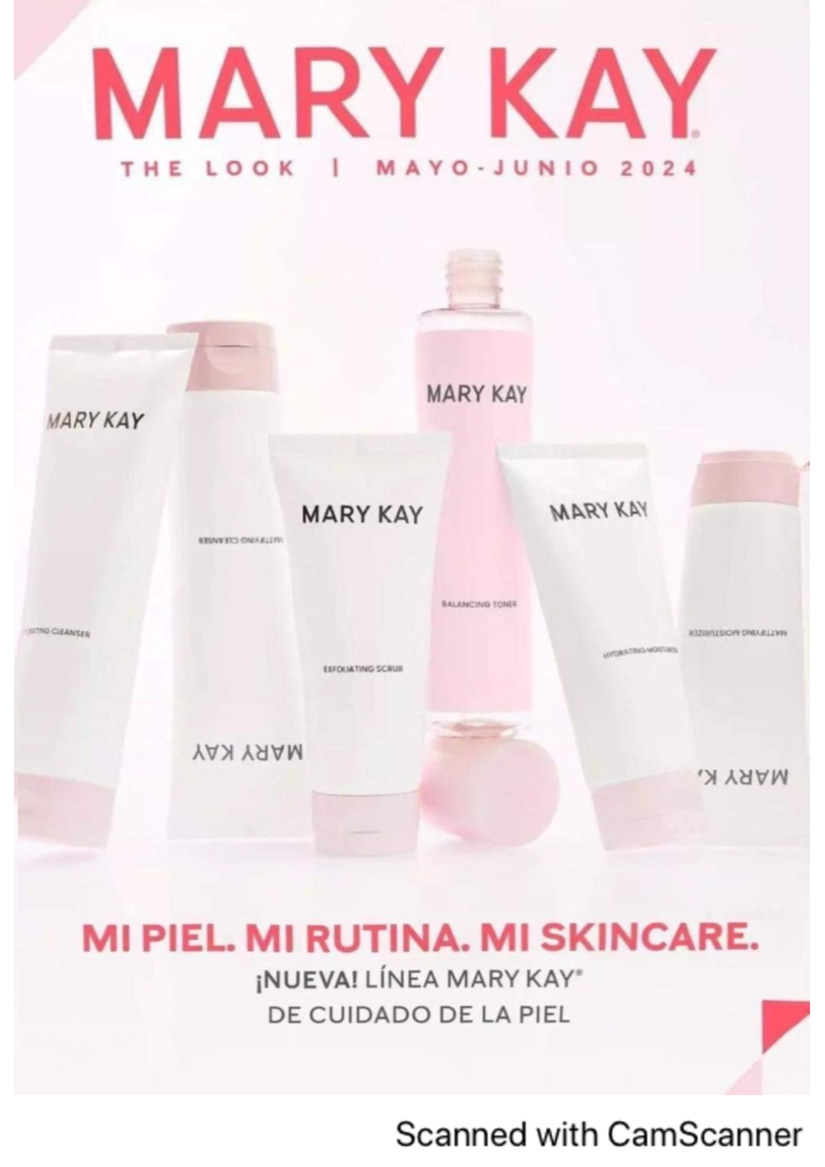 THE - Administración 1 - Studocu