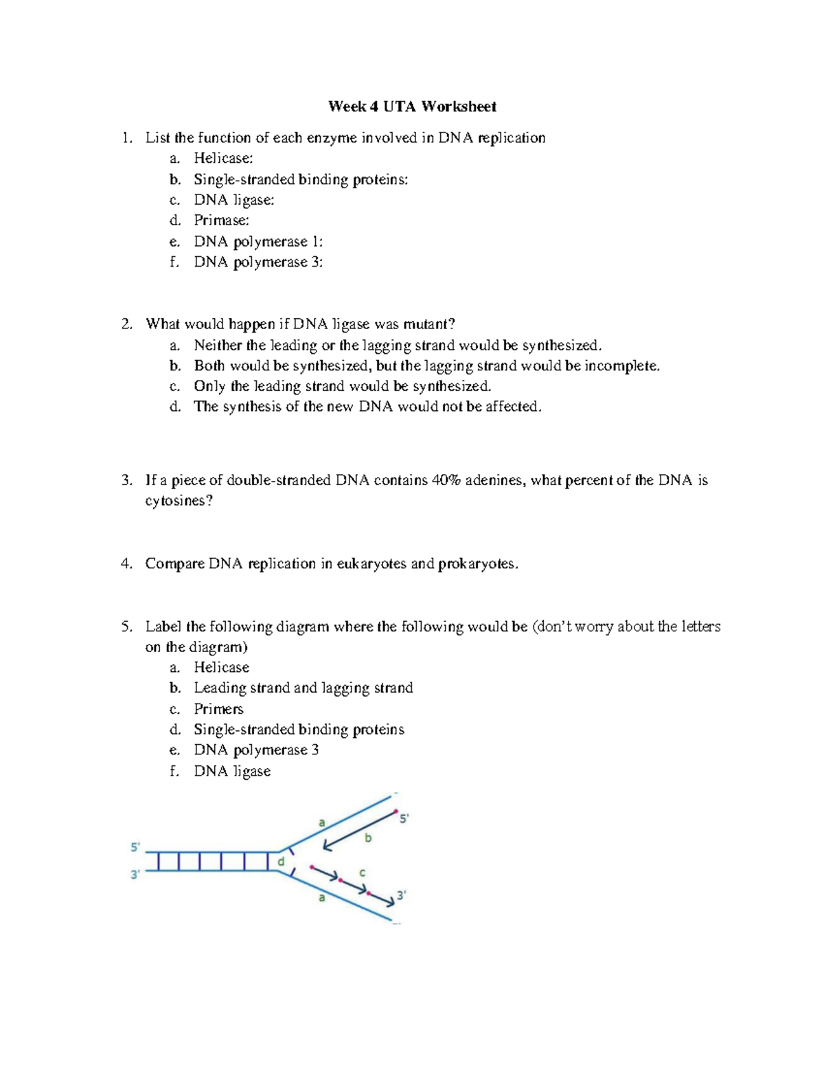 Week 4 Mod 1 Worksheet - DNA replication - Week 4 UTA Worksheet List ...