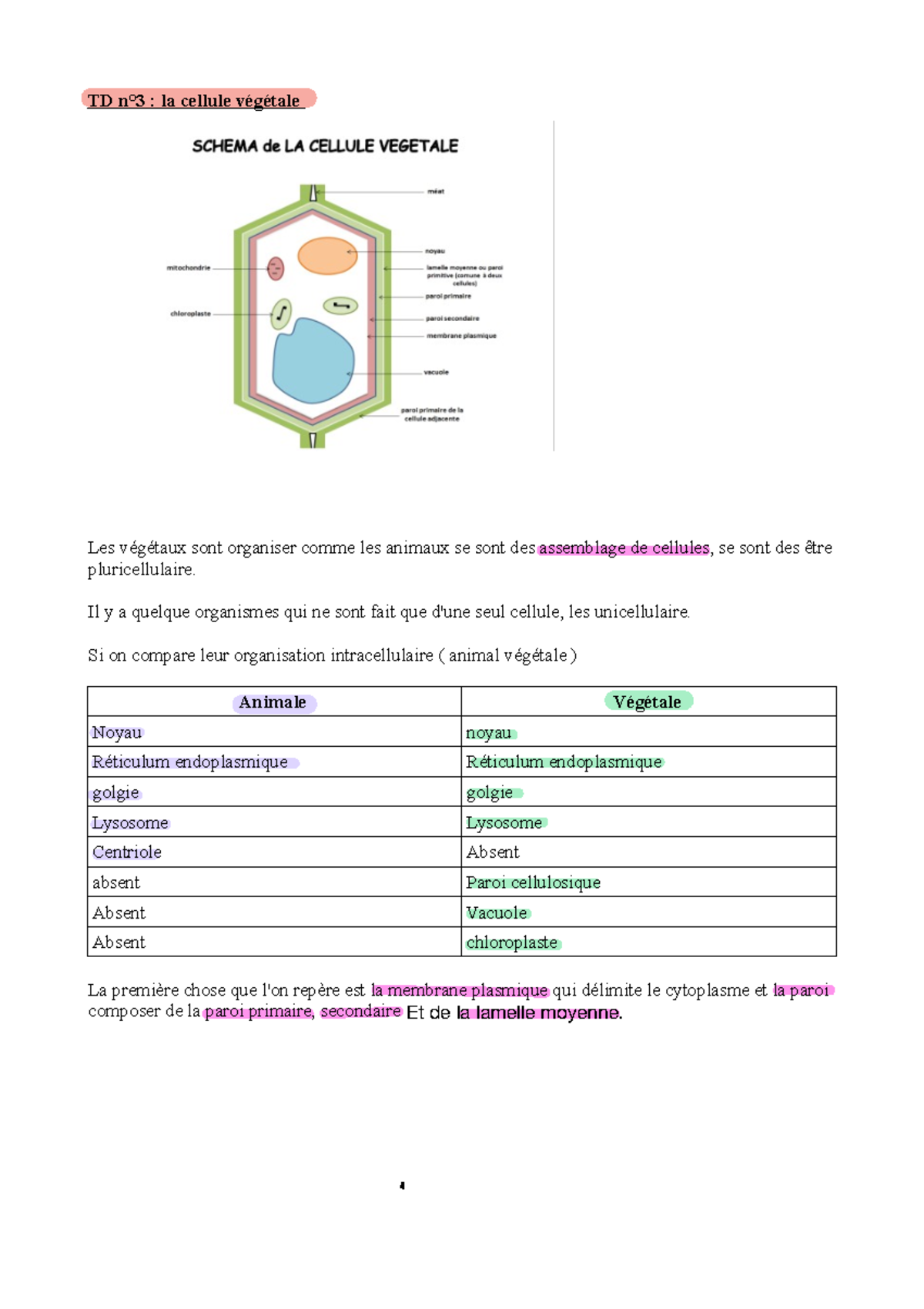 TD 3 cellule végétale - TD n°3 : la cellule végétale Les végétaux sont ...