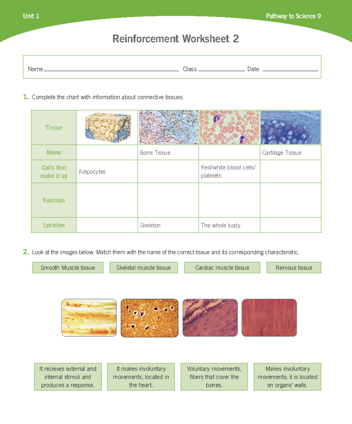 Pathway 9 U1 reinforcement 2 - Unit 1 Pathway to Science 9 Name: Class ...