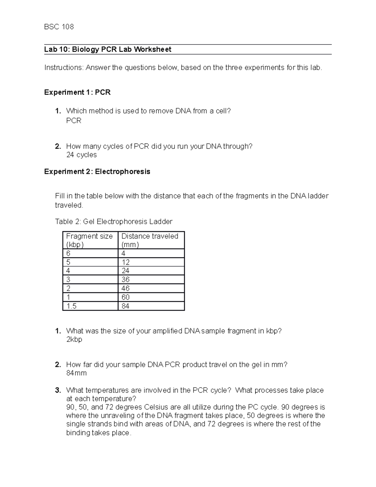 Lab 10 Biology PCR Worksheet 2023 - BSC 108 Lab 10: Biology PCR Lab ...
