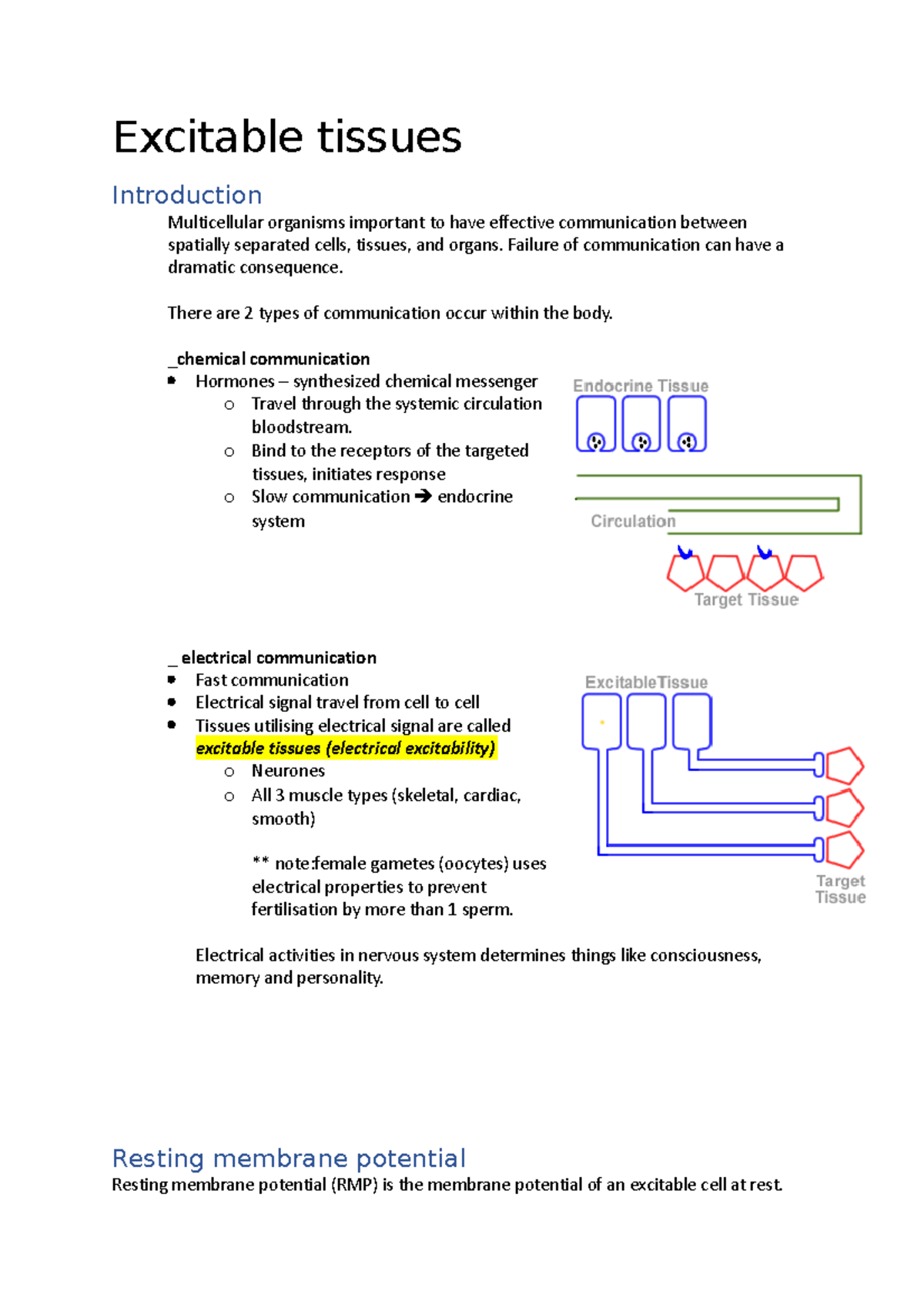 3 excitable tissues - just some notes :) - Excitable tissues ...