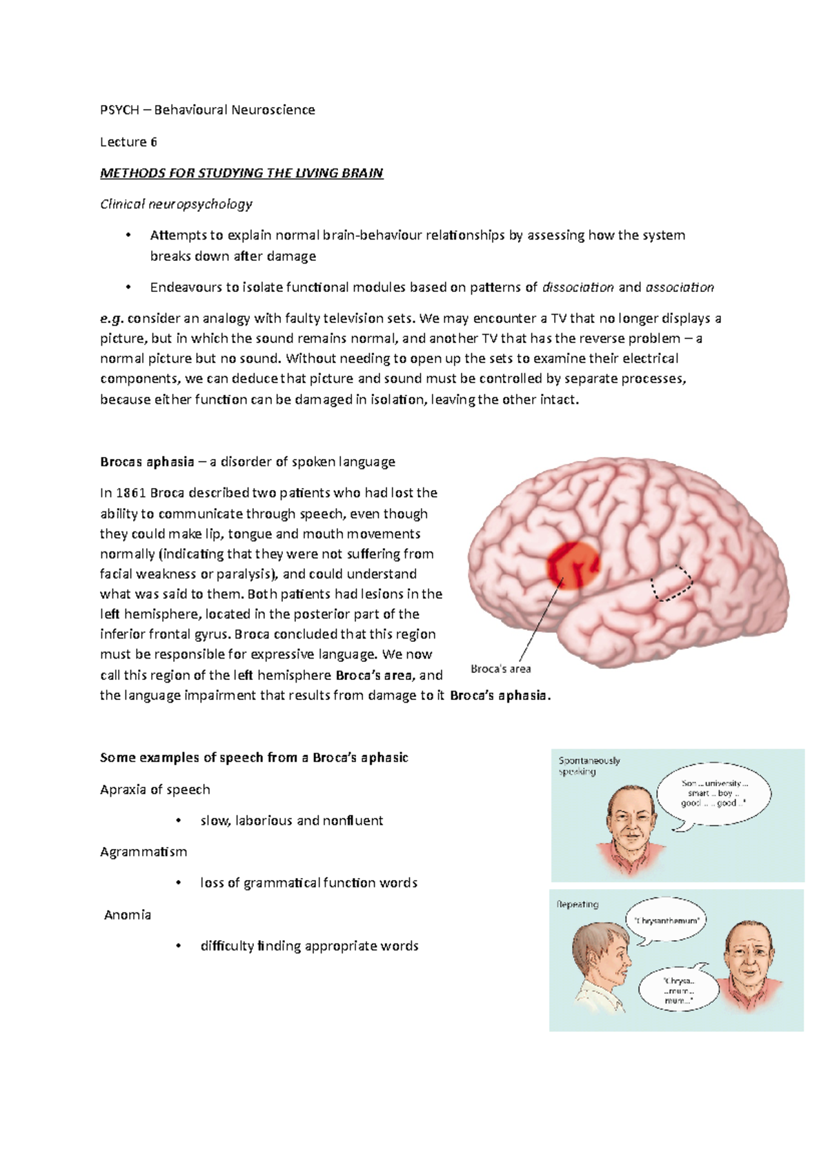 Behavioural Neuroscience - PSYCH – Behavioural Neuroscience Lecture 6 ...