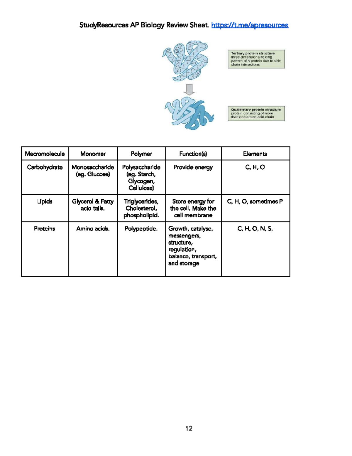 Biology Notes Part 4 - BIOL 23100 - Studocu