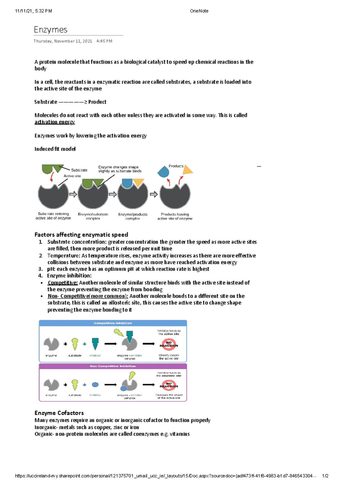 Cell Biology Enzymes Notes - 11/11/21, 5:32 PM OneNote - Studocu