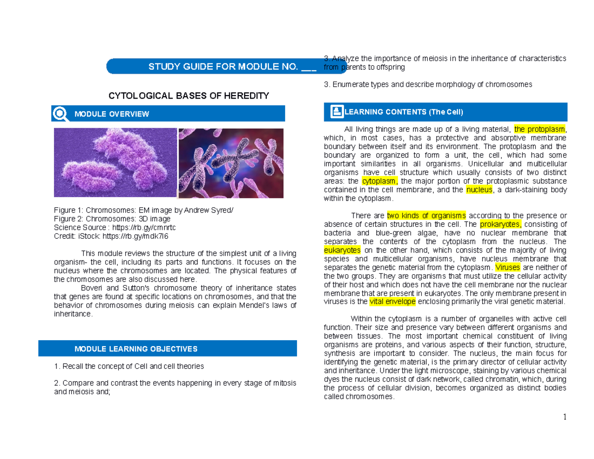 Study guide 2 genetics - None - 2 CYTOLOGICAL BASES OF HEREDITY MODULE ...