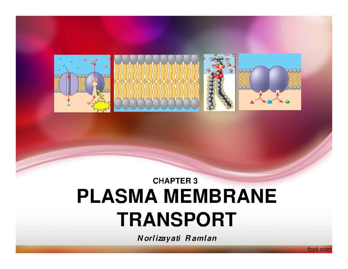 3 Transport - ms ran - PLASMA MEMBRANE TRANSPORT CHAPTER 3 Norlizayati Ramlan M EM BRANE ...