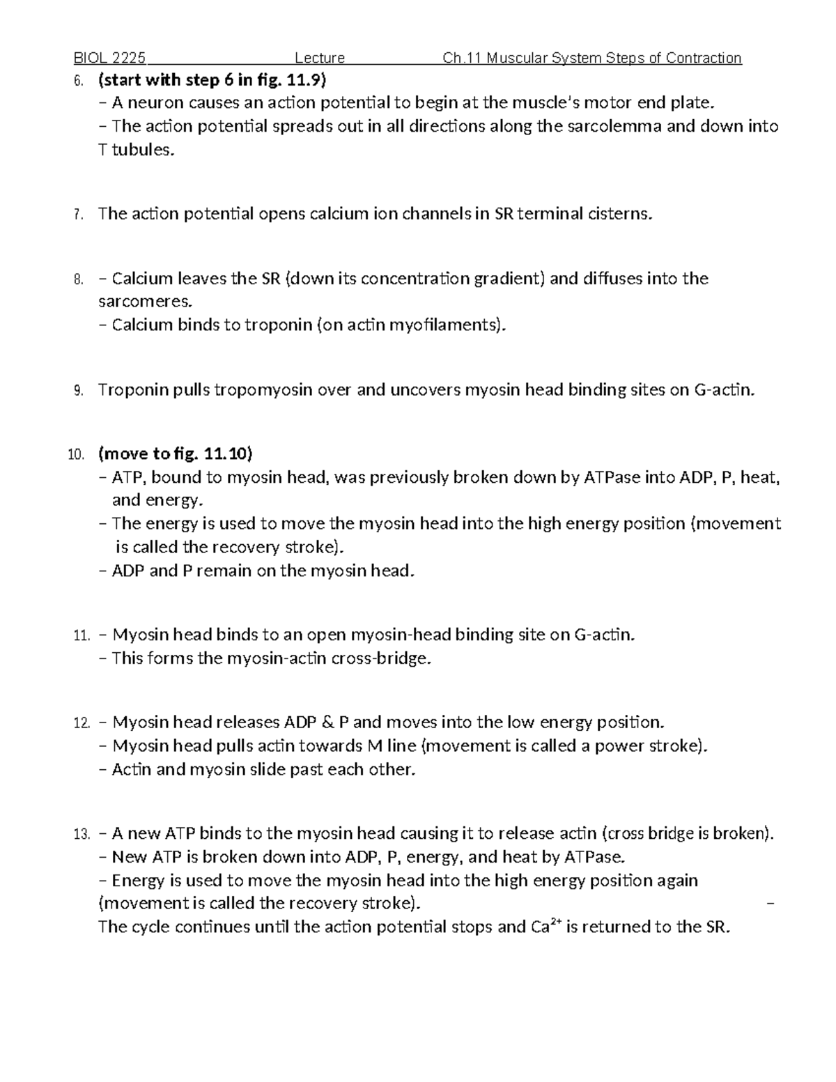 Ch.11 Muscular System B - Steps of contraction via Saladin Figures ...