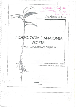 Bioquímica - Constituintes Inorgânicos da Célula - B0049 - (Enem) A ...
