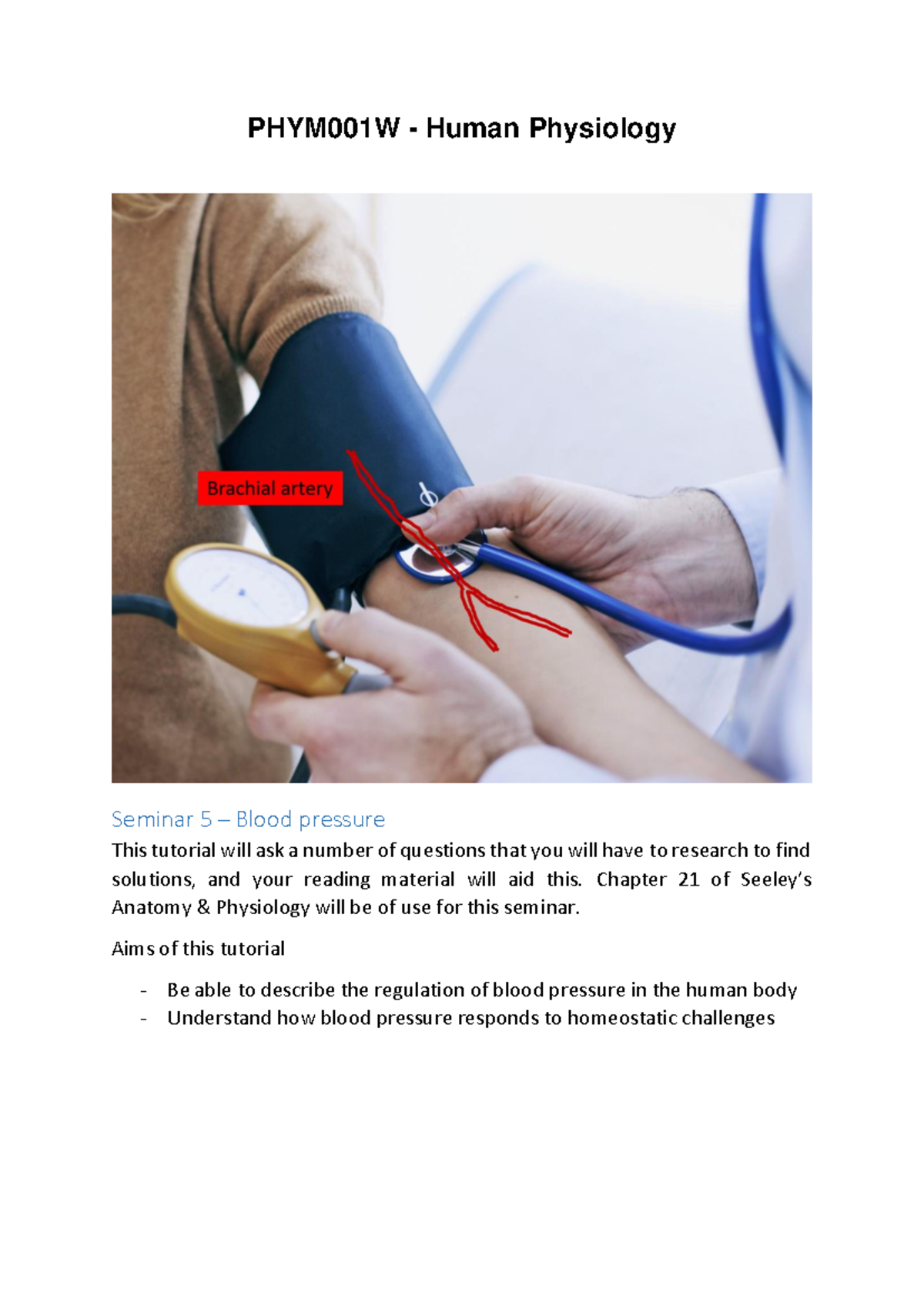 5 - Student notes - lecture - PHYM001W - Human Physiology Seminar 5 ...